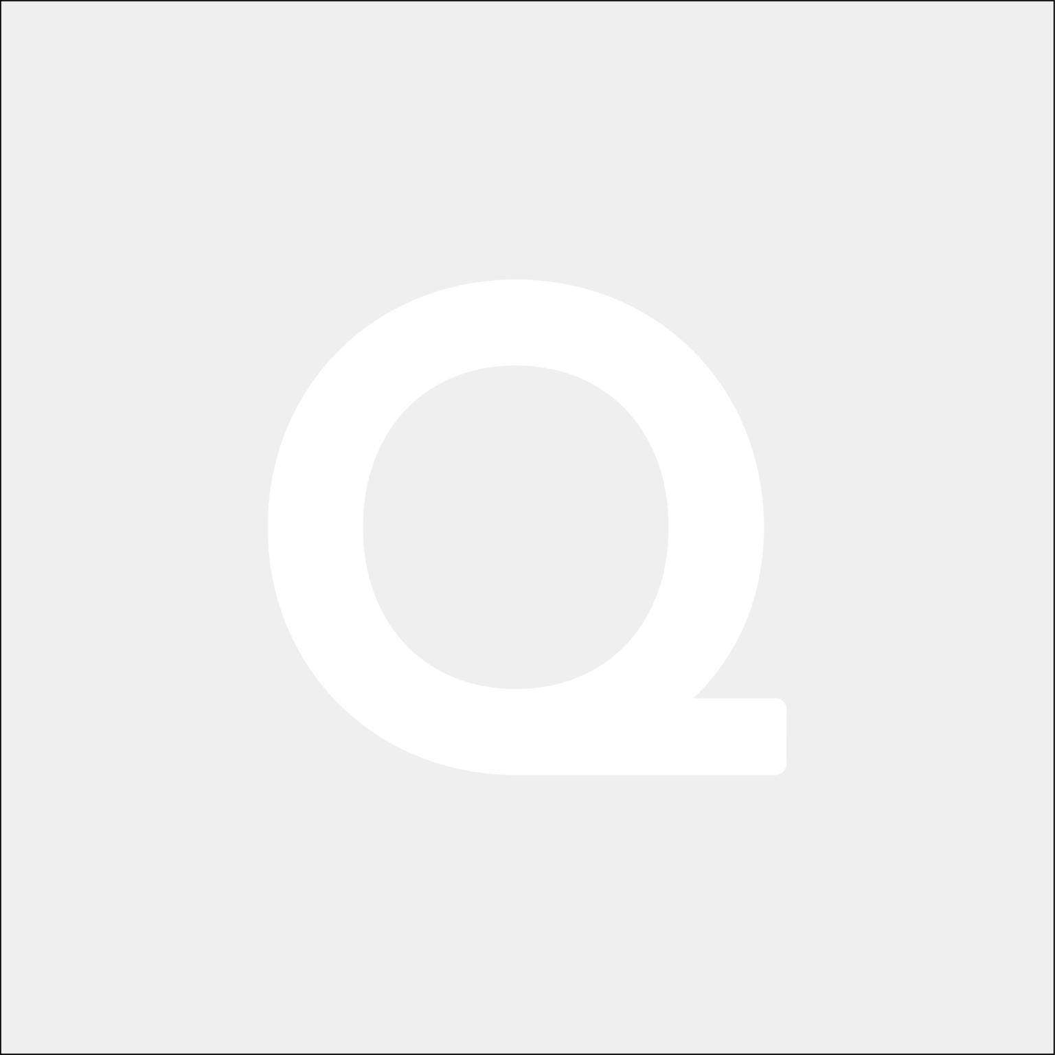 Leadership Team - Qinecsa